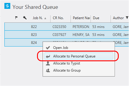 DMWM - Transcriber Guide - Hybrid - Print View