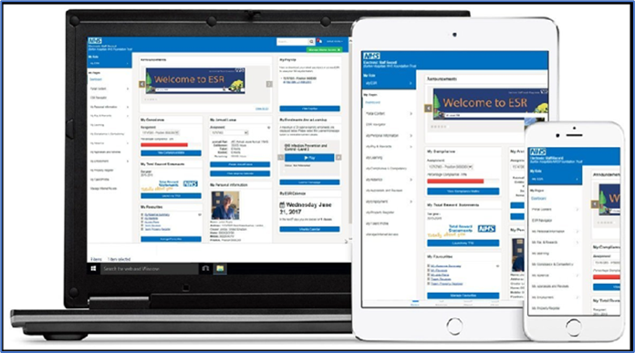 Manager Self Service - Access & Manager Menu