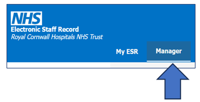 Manager Self Service - Access & Manager Menu